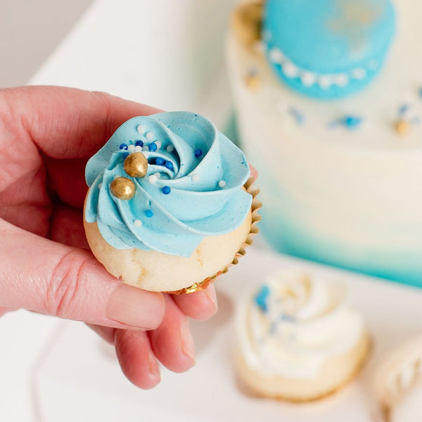 Mini Cupcakes - Matching Avery in Blue – Cute Cakes & Co