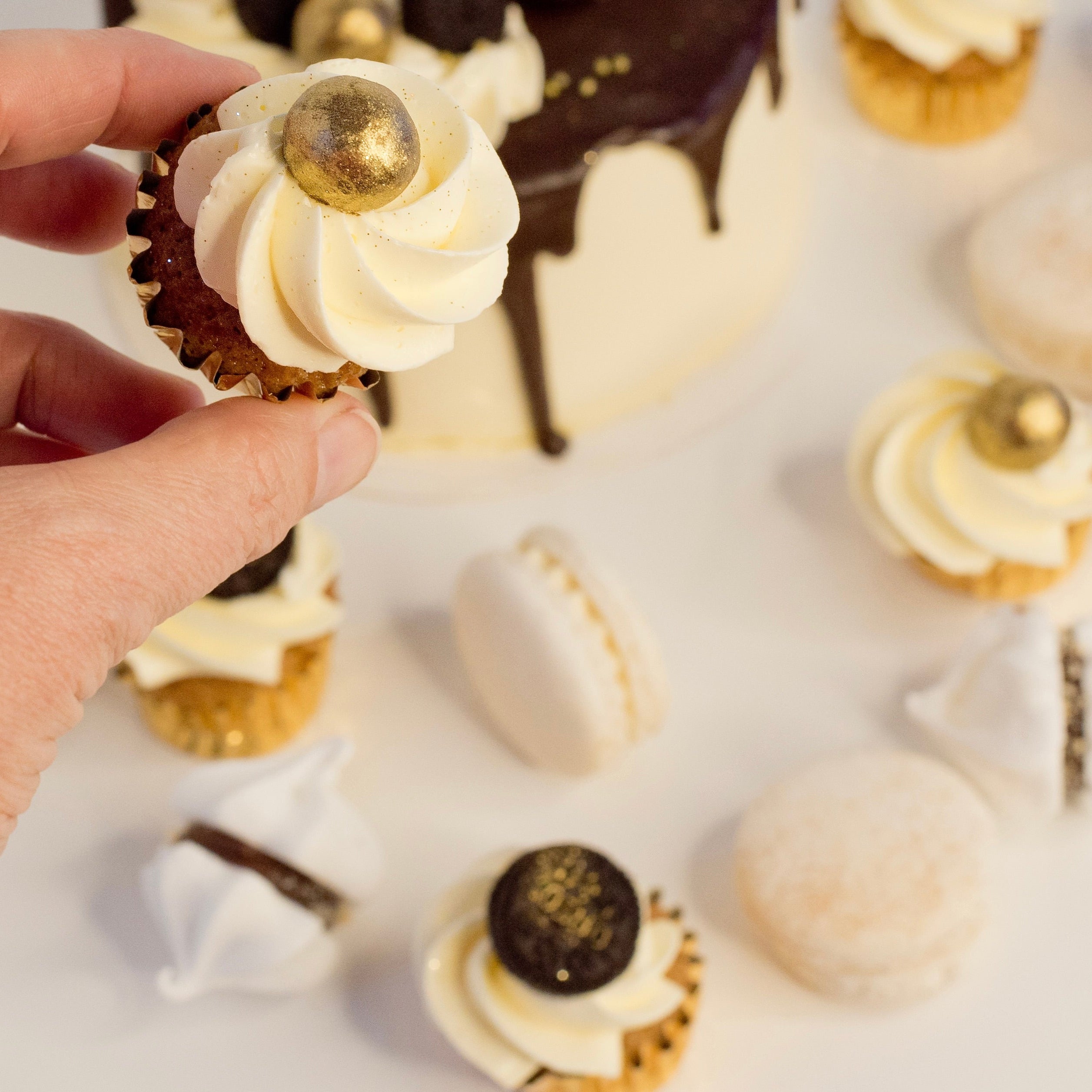Mini Cupcakes - Matching Jo – Cute Cakes & Co